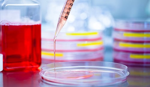 BUT Chimie - IUT d'Orsay - AFi24