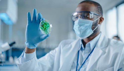 Alternance Master Chimie et Sciences des Matériaux Evry - AFI24